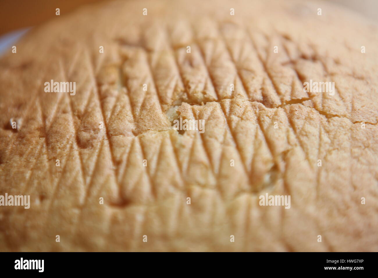 Baked sponge cake textures fresh from the oven Stock Photo - Alamy