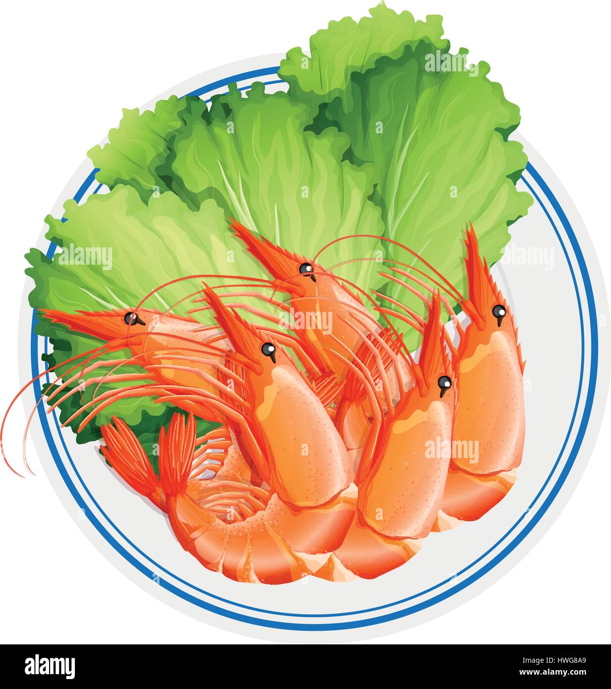 Cooked shrimps and vegetable on plate illustration Stock Vector Image ...