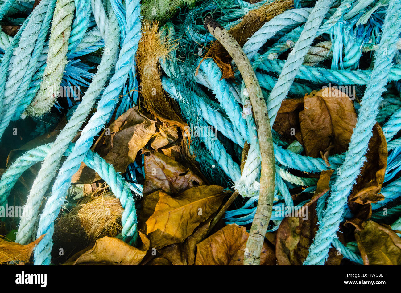 Background of color fishing net and cord on the heap Stock Photo - Alamy