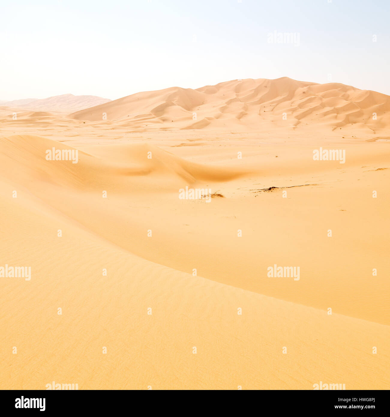 the empty quarter and outdoor sand dune in oman old desert rub al khali ...