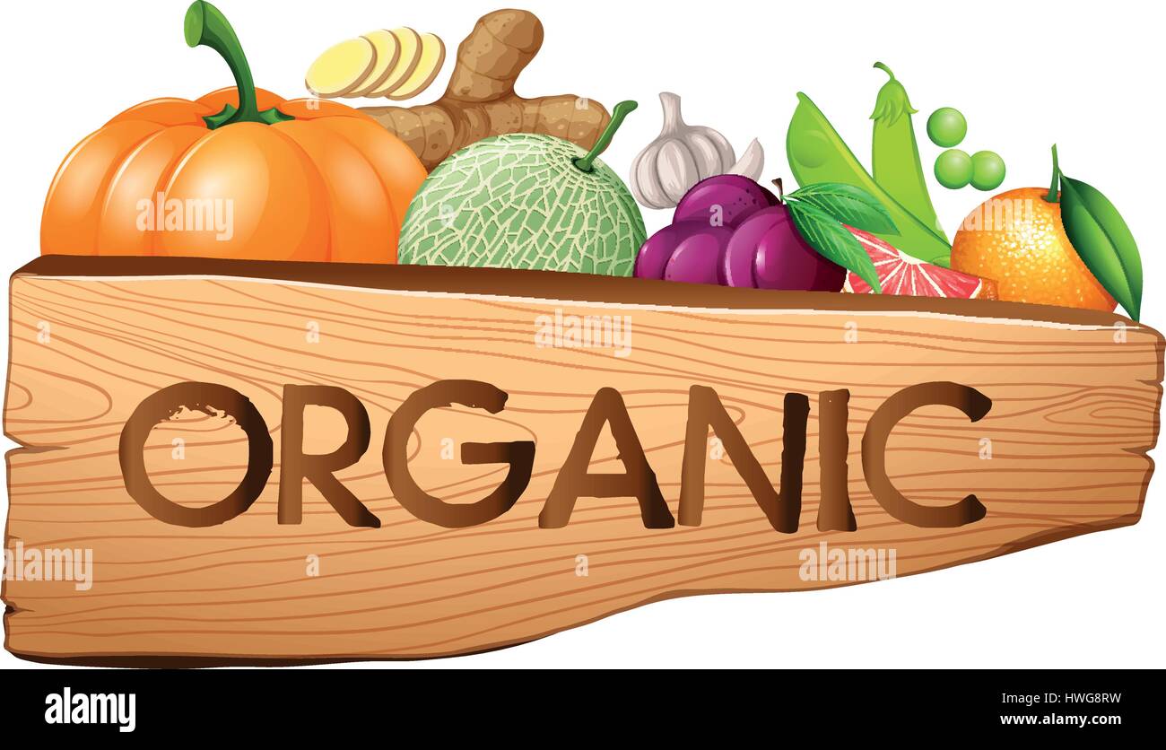 Organic sign with fruits and vegetables illustration Stock Vector Image ...