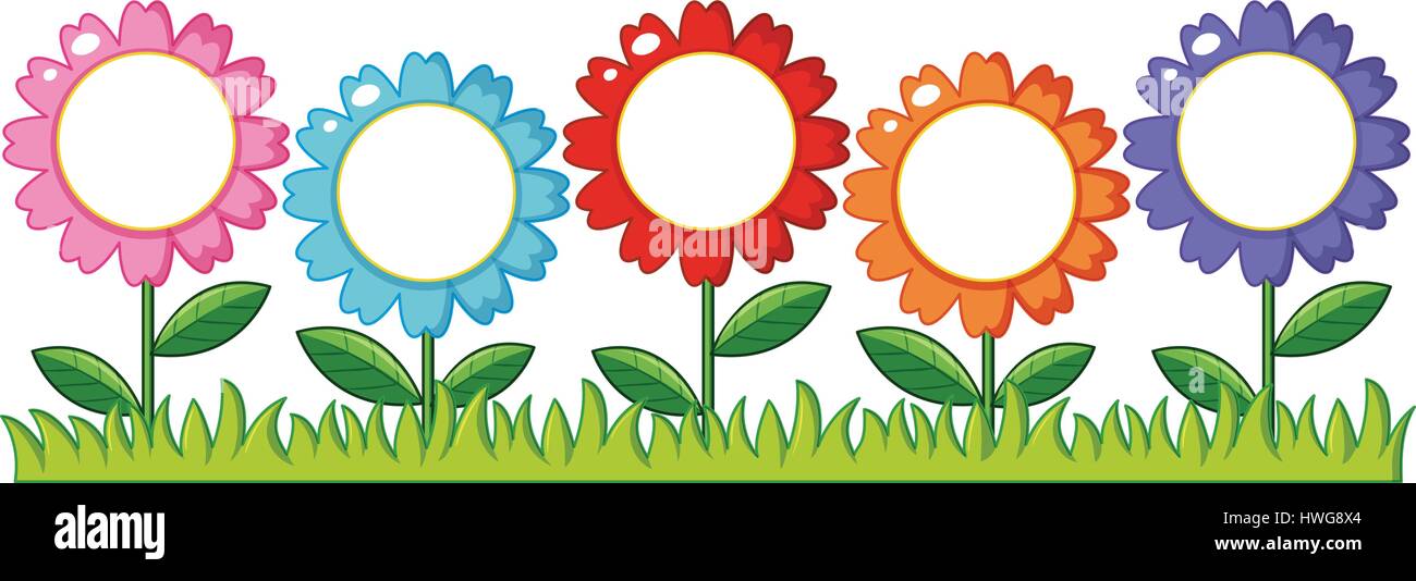 Colorful flowers in garden illustration Stock Vector Image & Art - Alamy
