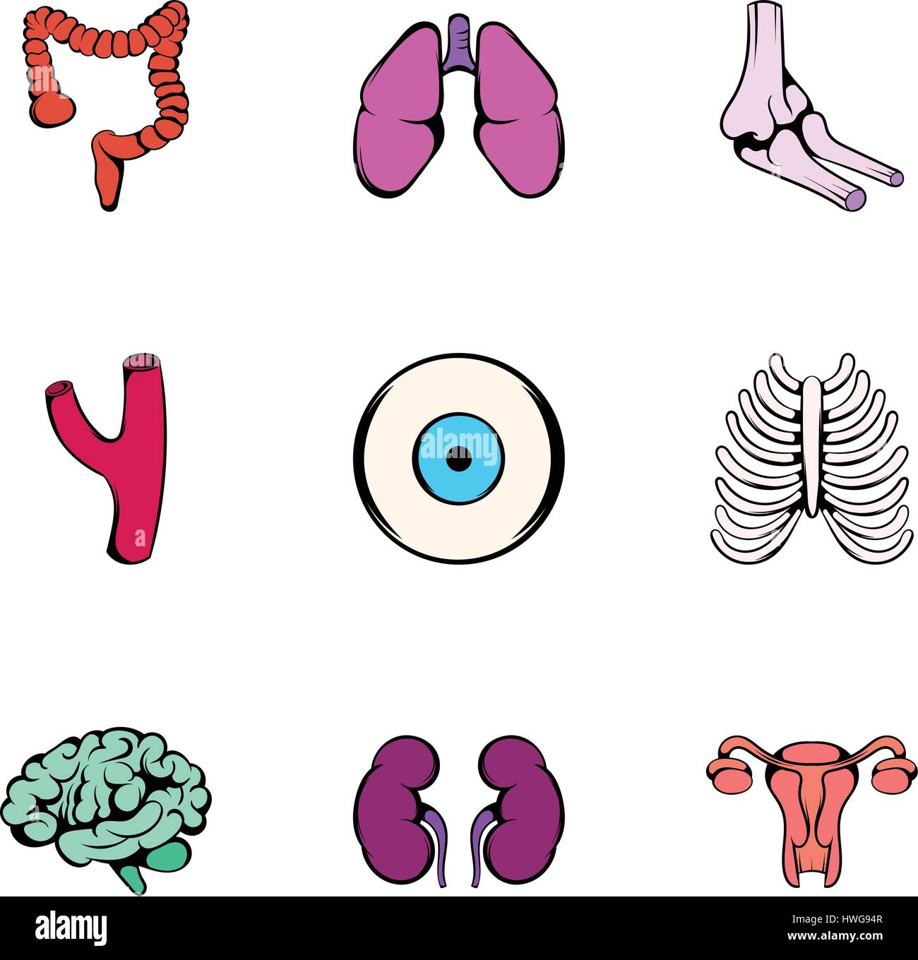 Anatomy icons set, cartoon style Stock Vector Image & Art - Alamy