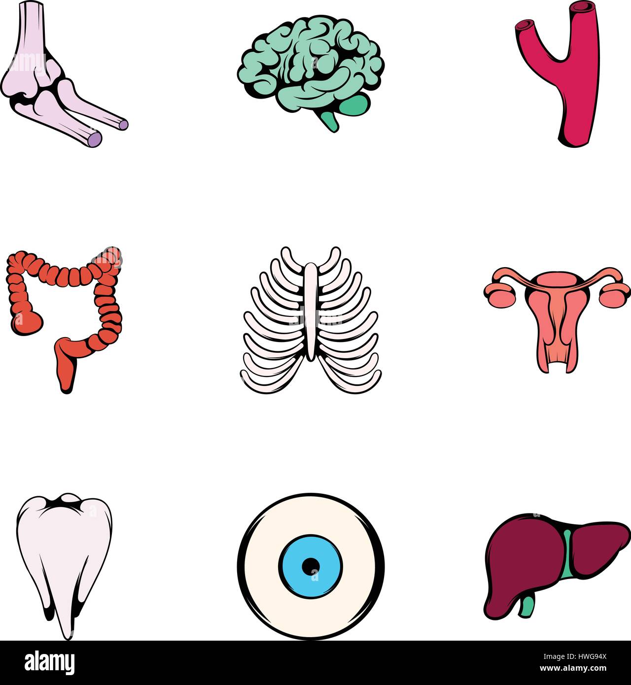 Human organ icons set, cartoon style Stock Vector Image & Art - Alamy