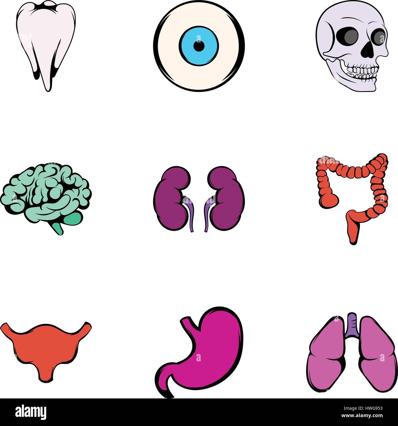 Human anatomy icons parts hi-res stock photography and images - Alamy