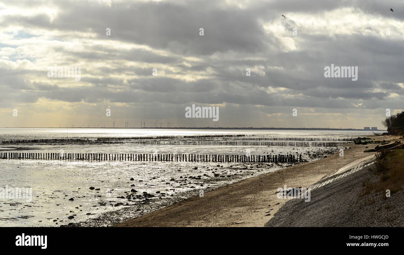 Beach - East Mersea Stock Photo - Alamy