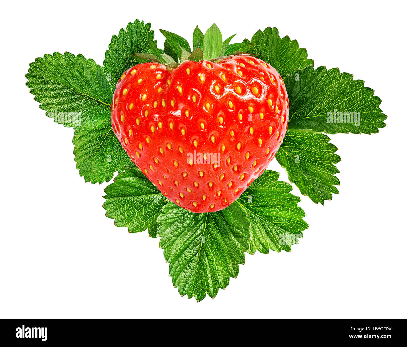 Strawberry on white background Stock Photo - Alamy