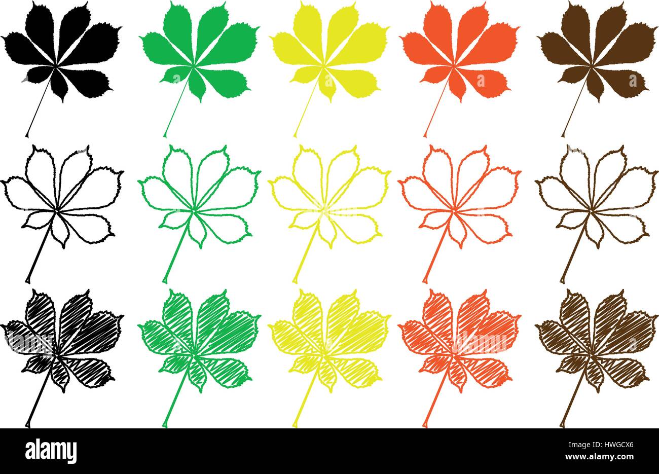 'buckeye Stock Vector Images - Alamy