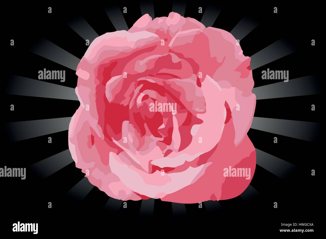 Flower color explosion Stock Vector Images - Alamy