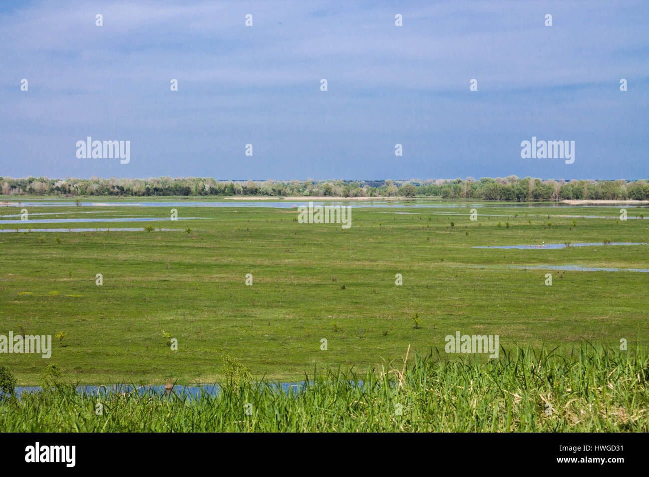 Long depth of field hi-res stock photography and images - Alamy