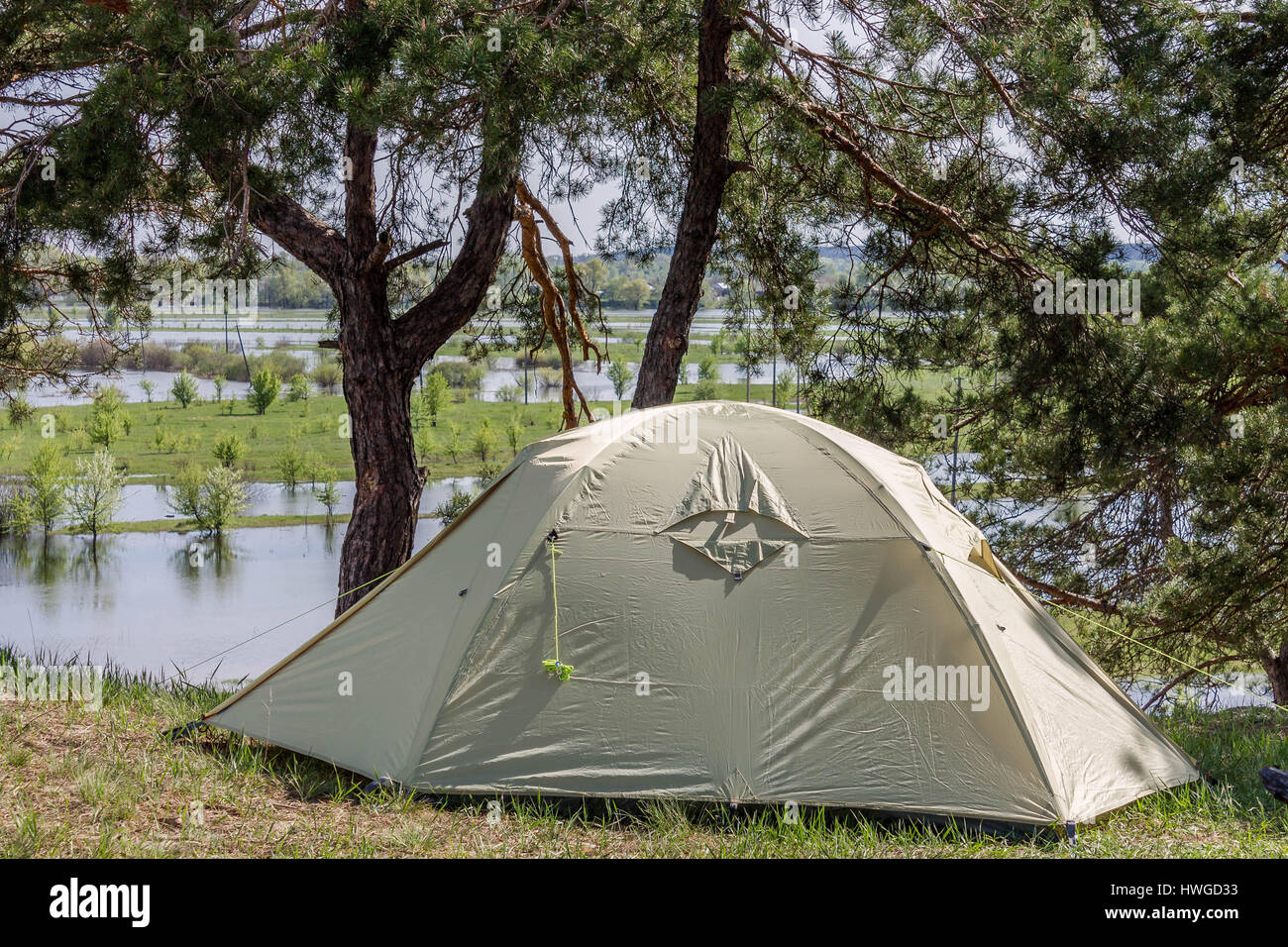 Tourist tent under the tree. Multilateral frame. Landscape Stock Photo ...