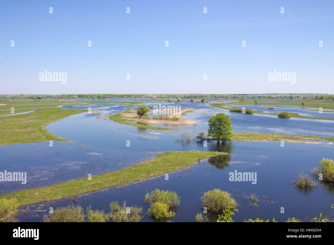 Cascade Lakes. Tree in the field. Landscape. Horizon centered. The wild ...