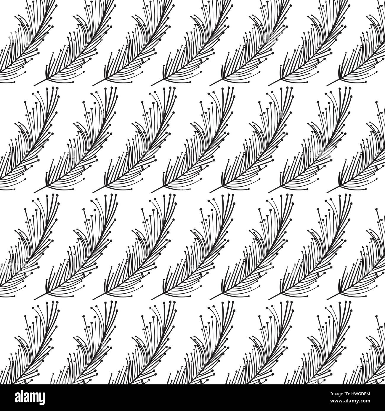 Feather invitation background Black and White Stock Photos & Images - Alamy