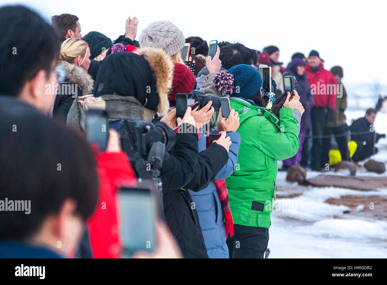A crowd of people waiting for the eruption of Strokkur geyser, Iceland ...