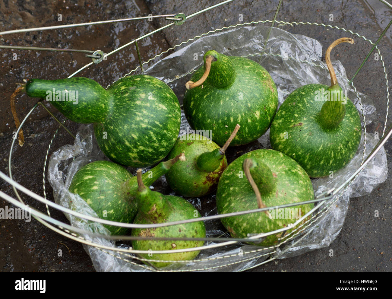 Edible gourds hi-res stock photography and images - Alamy