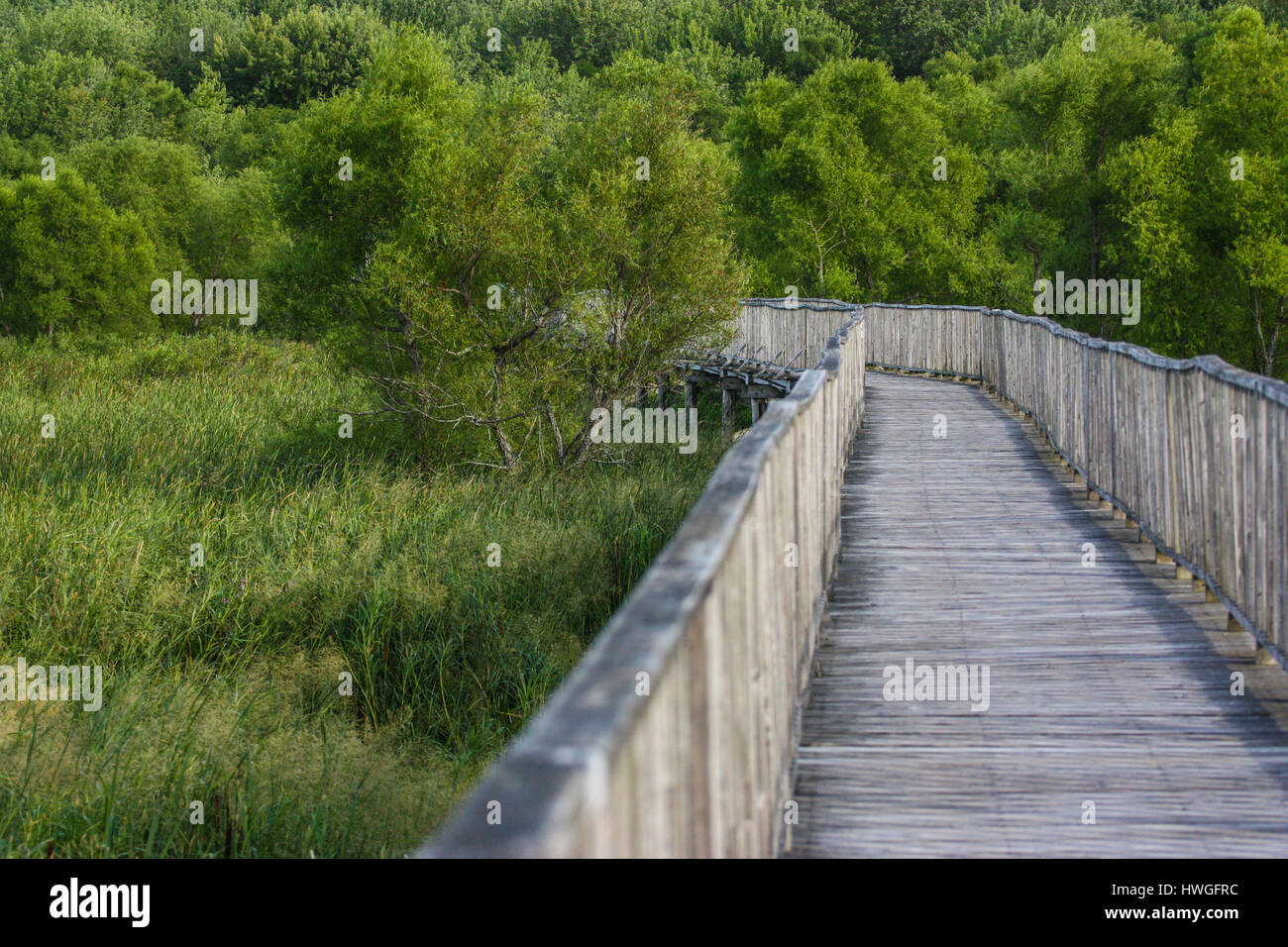 Long wood bridge hi-res stock photography and images - Alamy