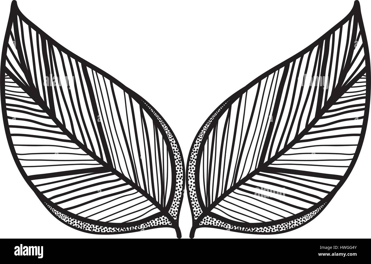 rustic leaves decoration design Stock Vector Image & Art - Alamy