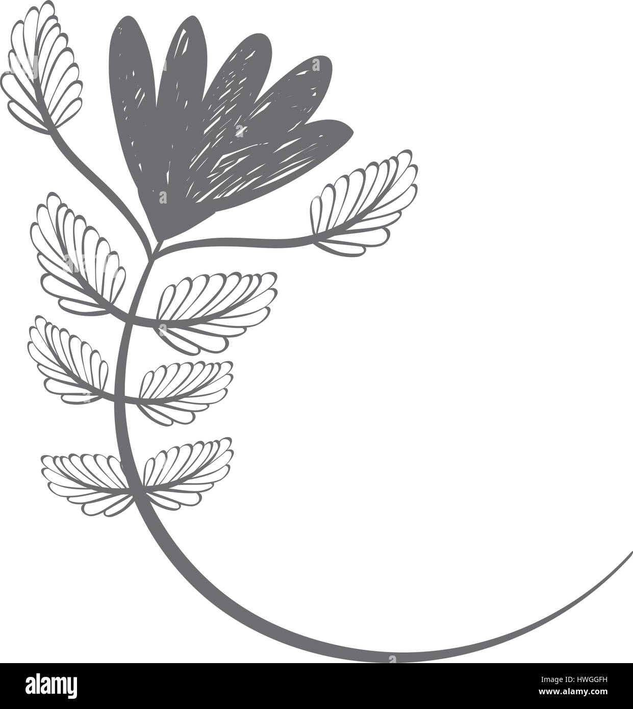 rustic flower decoration design Stock Vector Image & Art - Alamy