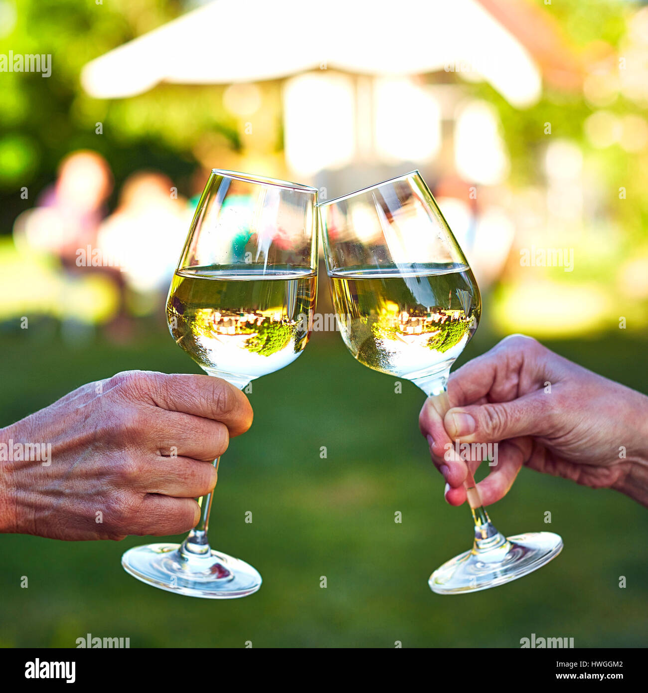 Toasting with glasses of white wine Stock Photo - Alamy