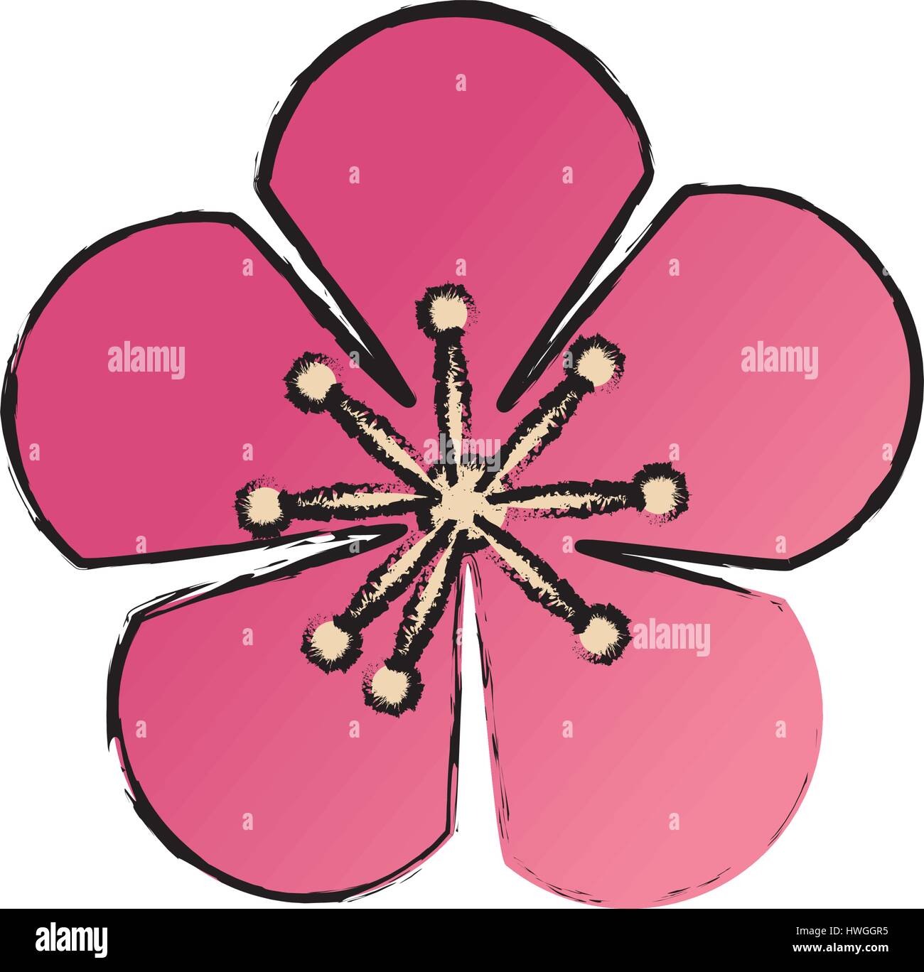 beautiful pink flower icon over white background. vector illustration ...