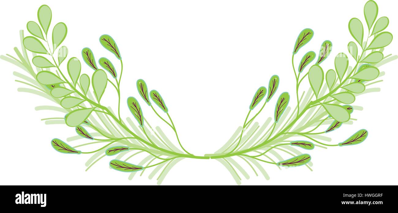 flowers branches decoration design Stock Vector Image & Art - Alamy