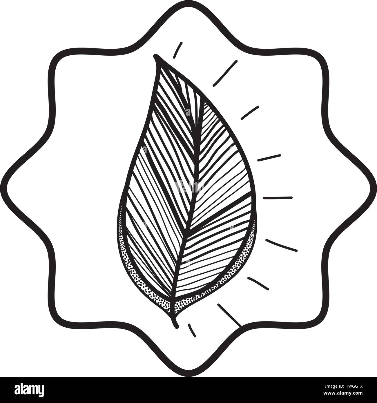 rustic leaf decoration design Stock Vector Image & Art - Alamy