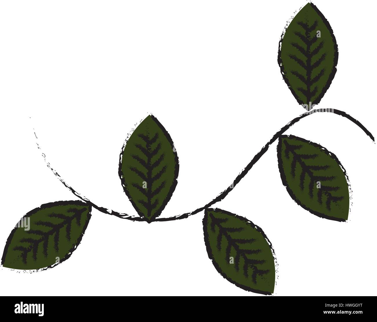 leaves icon over white background. vector illustration Stock Vector ...