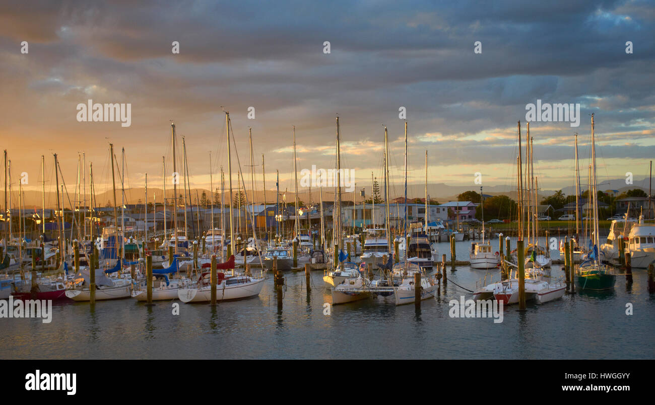 Napier port ahuriri hi-res stock photography and images - Alamy