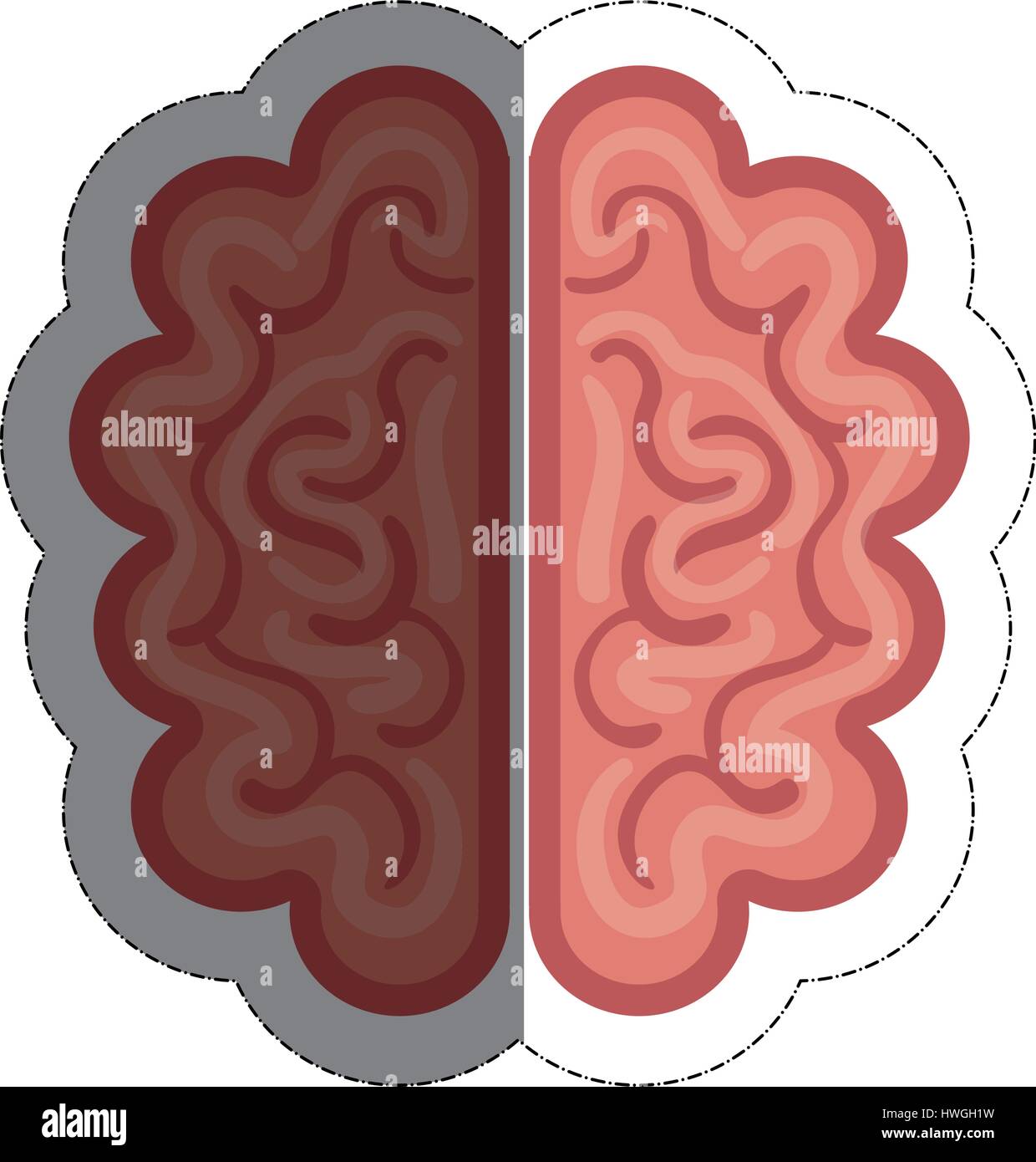 human brain icon over white background. vector illustration Stock ...