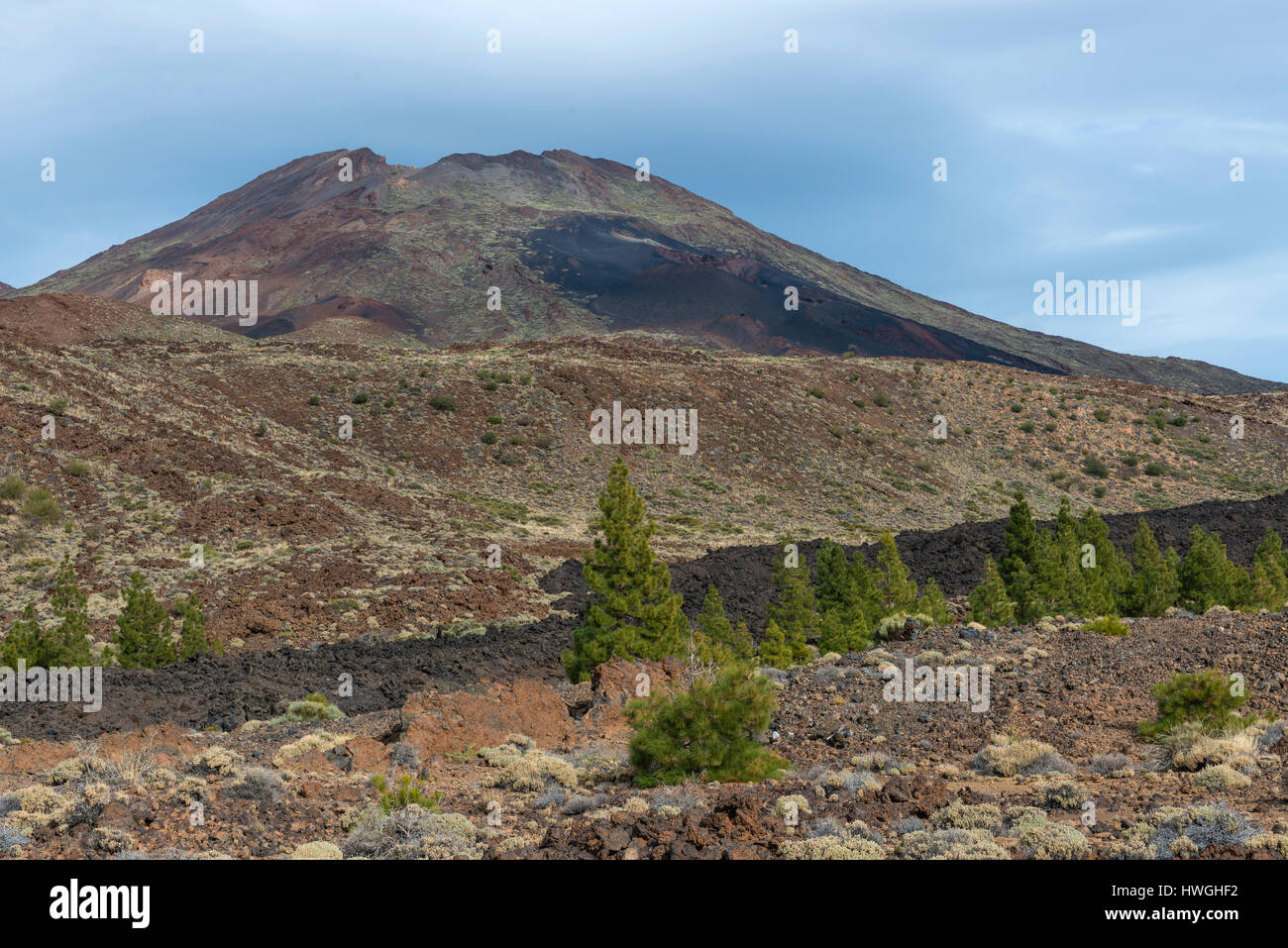 El Teide volcano, national park El Teide, Tenerife, Spain Stock Photo ...