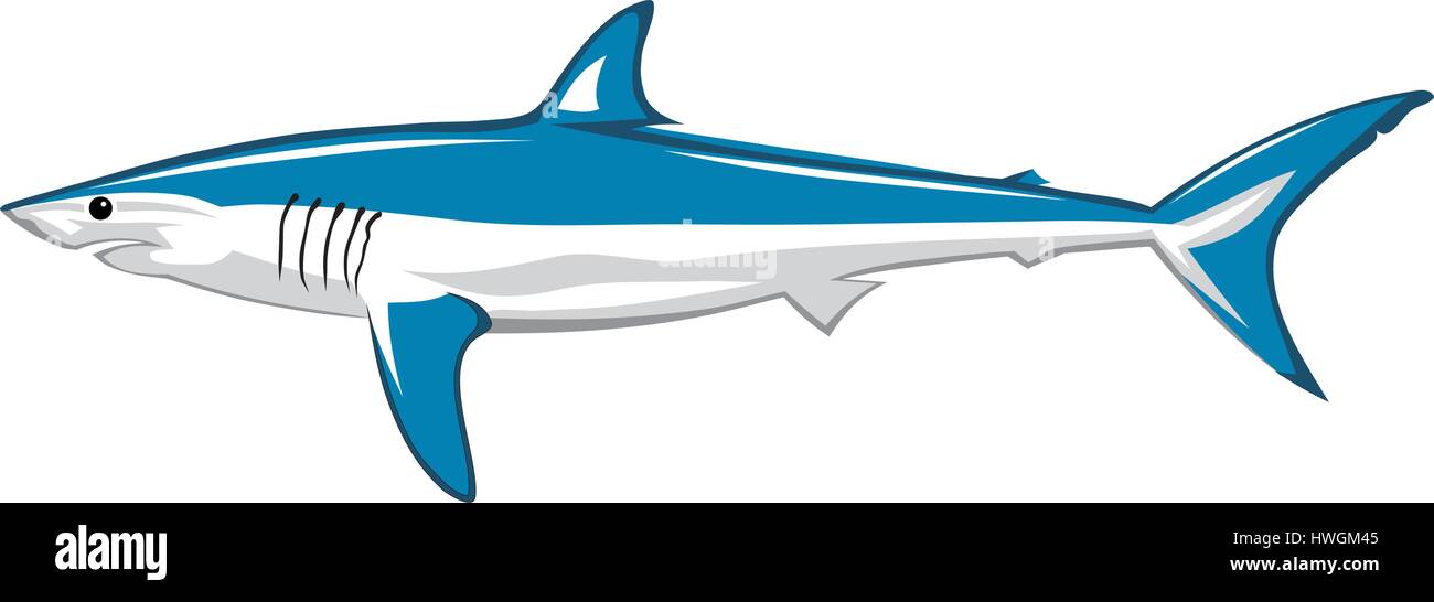 Abstract vector illustration shark hi-res stock photography and images ...