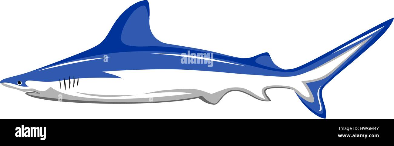 Abstract vector illustration shark hi-res stock photography and images ...