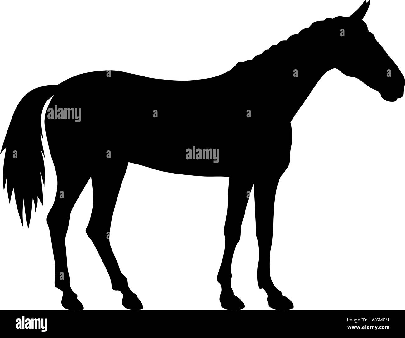 vector illustration of standing horse silhouette Stock Vector Image ...
