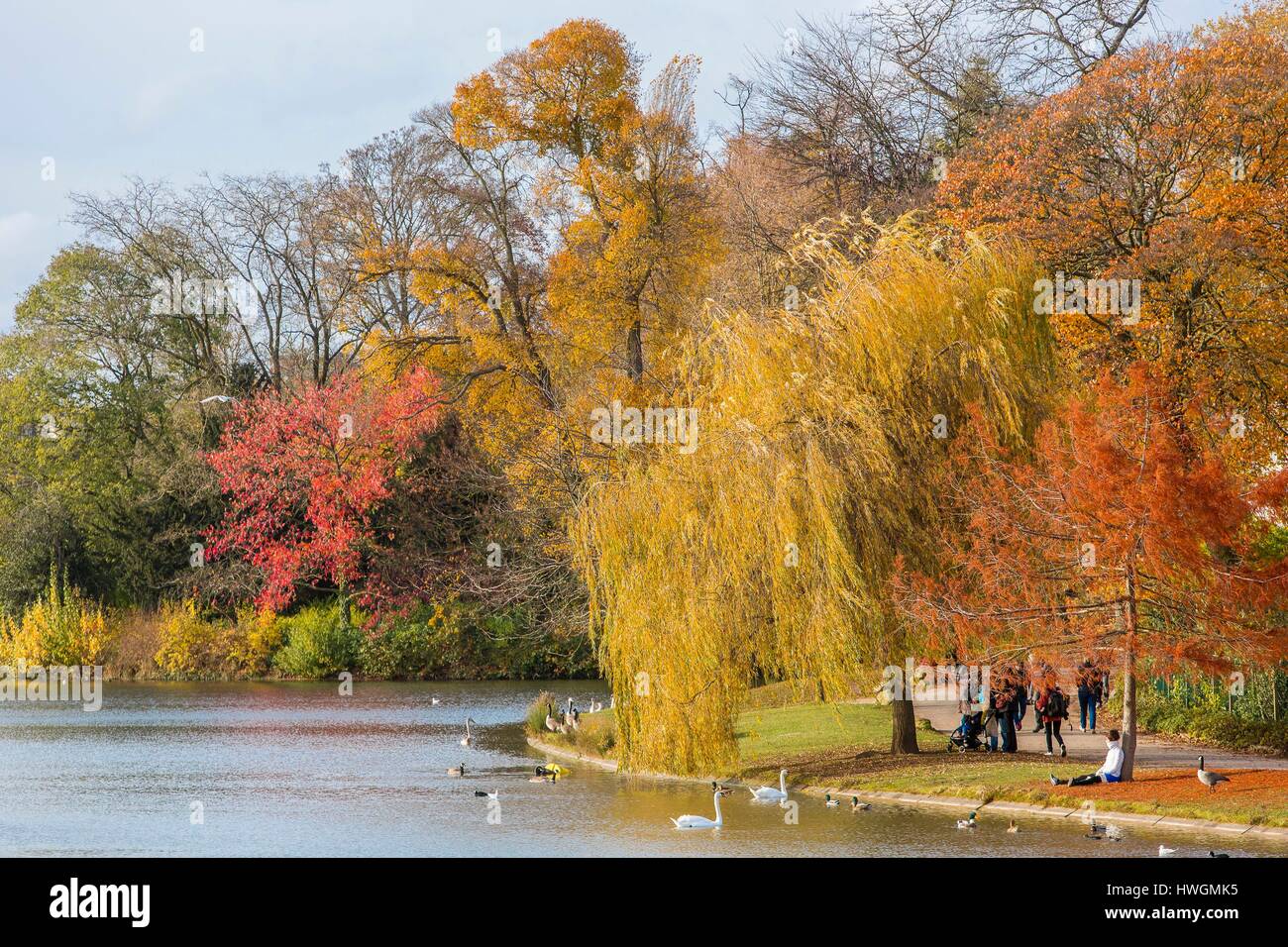 France, Paris, Lake Daumesnil in the Bois de Vincennes in autumn Stock ...