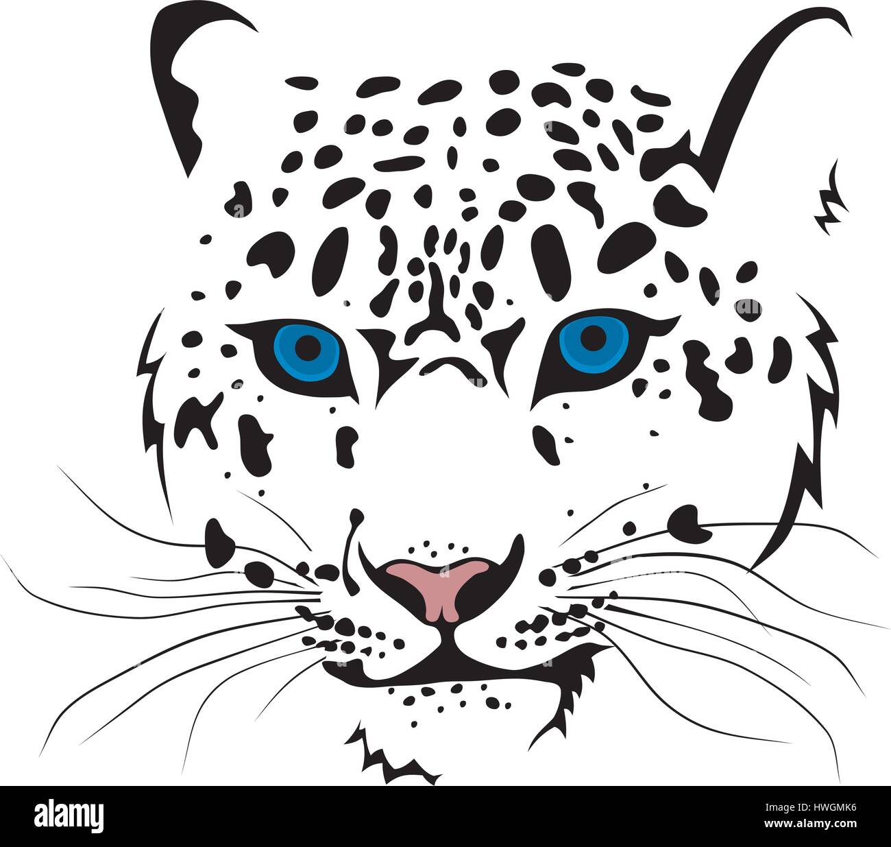 Snow Leopard Vector