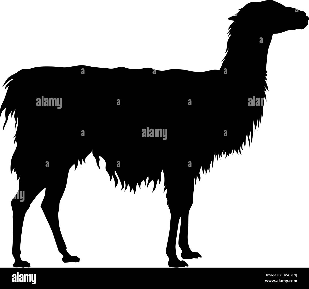 Abstract vector illustration of an llama silhouette Stock Vector Image ...