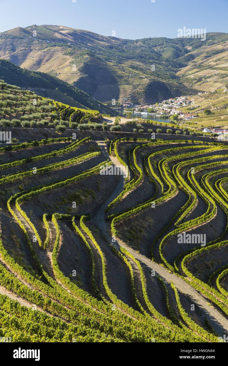 Portugal, Upper Douro Valley and its vineyards listed as World Heritage ...
