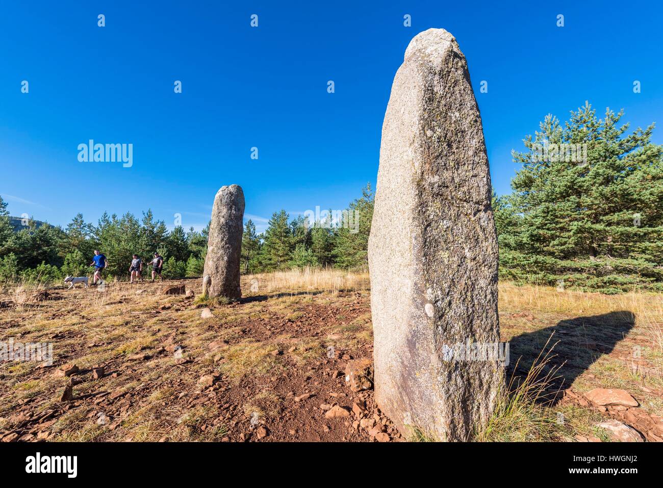 France, Lozere, the Causses and the Cevennes, Mediterranean agro ...