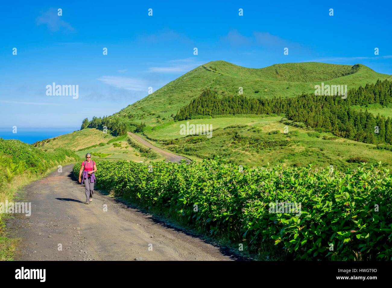 Portugal, Azores archipelago, Sao Jorge island, UNESCO Biosphere ...