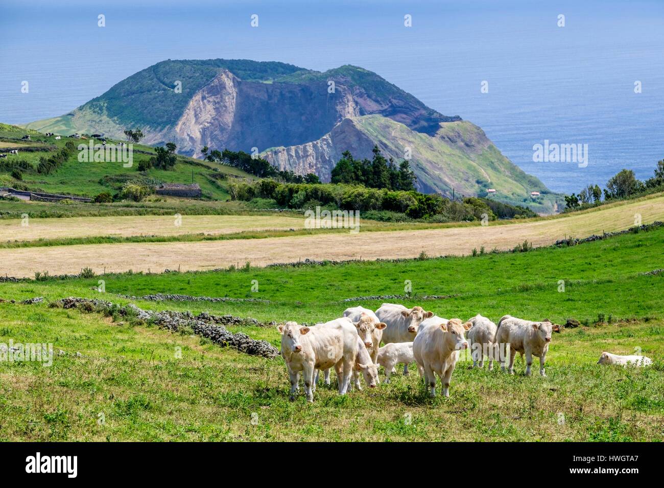 Portugal, Azores archipelago, Sao Jorge island, UNESCO Biosphere ...