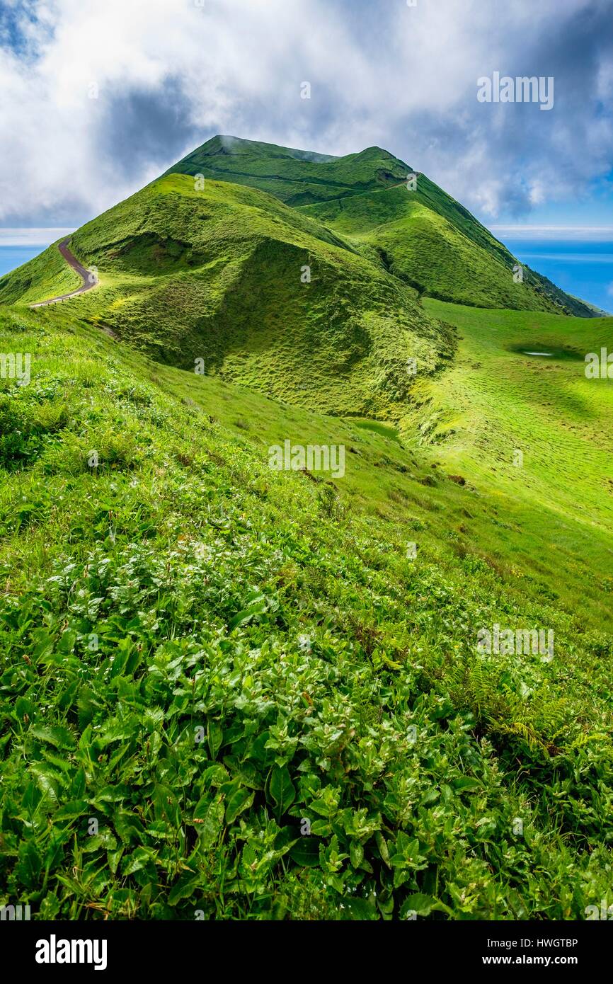Portugal, Azores archipelago, Sao Jorge island, UNESCO Biosphere ...