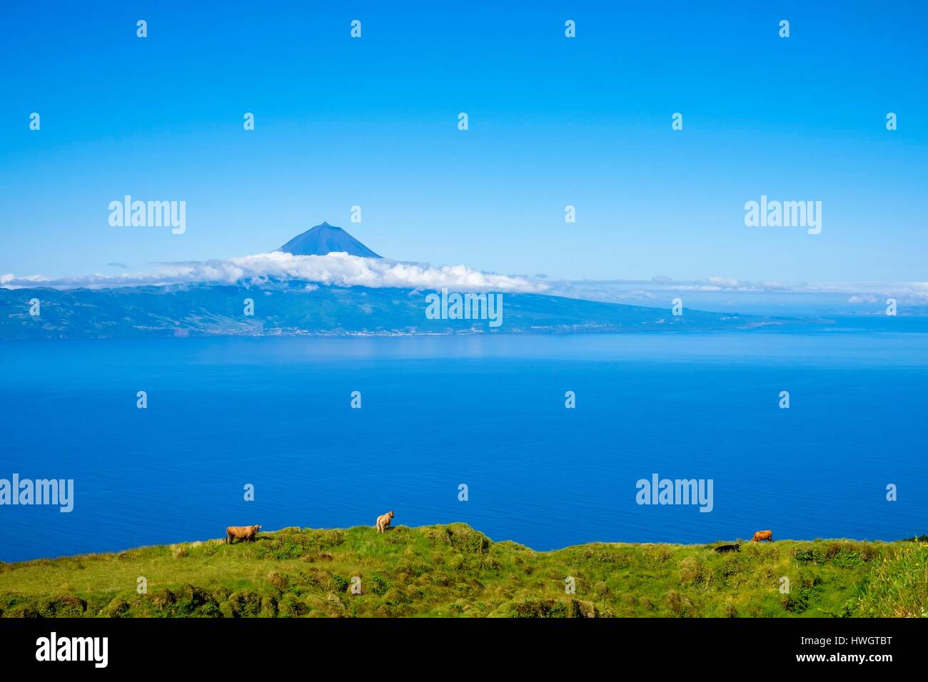 Portugal, Azores archipelago, Sao Jorge island, UNESCO Biosphere ...