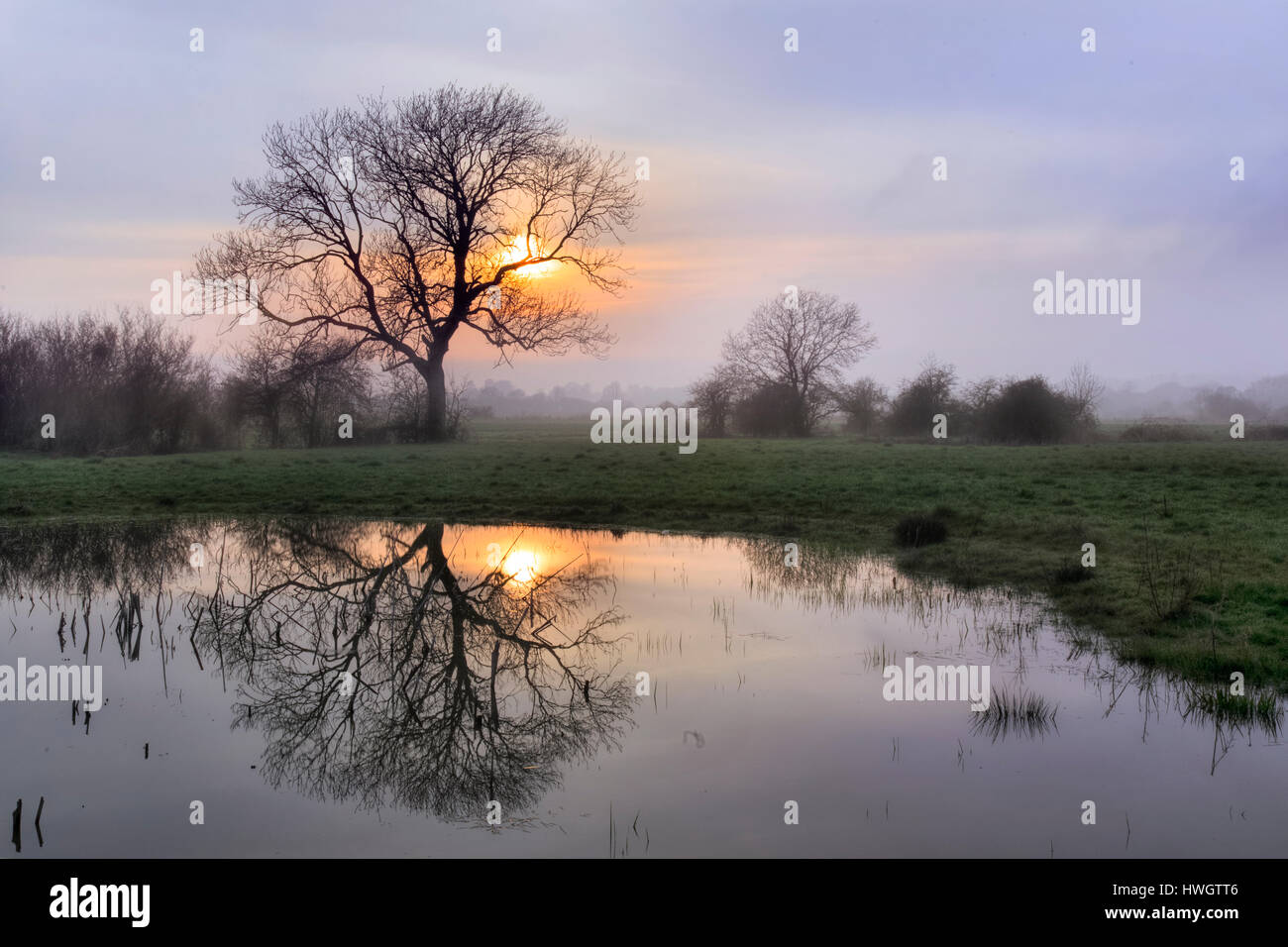 Eyebridge, River Stour, Wimborne Minster, Dorset, England, UK Stock ...