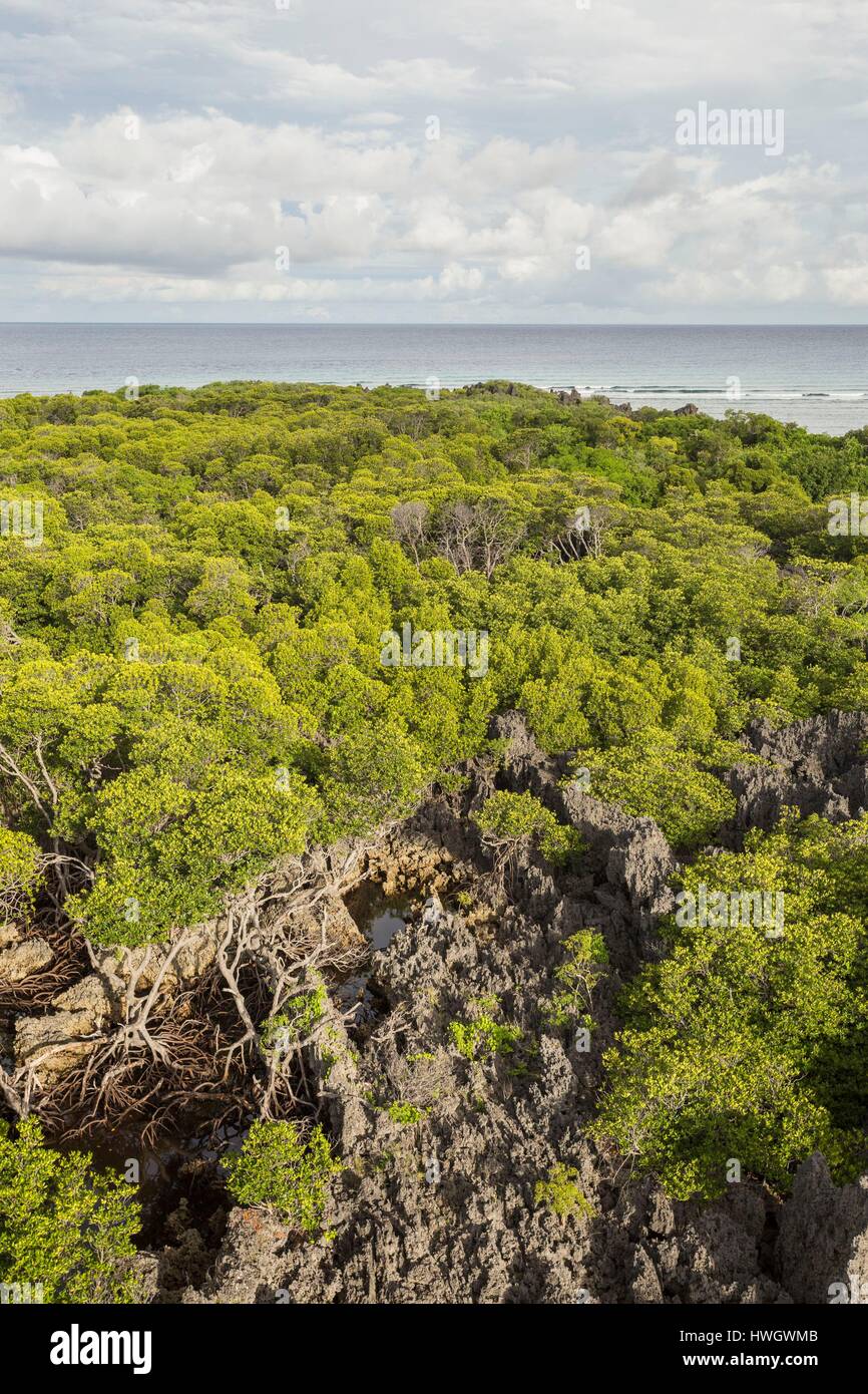 Philippines, Mindoro, Apo Reef Natural Park, vegetation and limestone ...