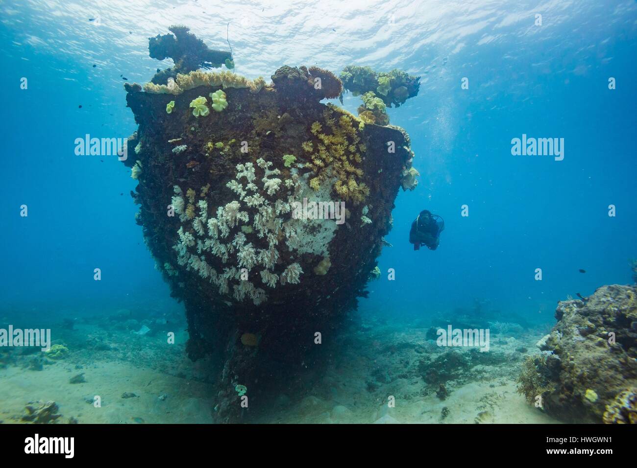 Philippines, Mindoro, Apo Reef Natural Park, diver on a wreck of a ...