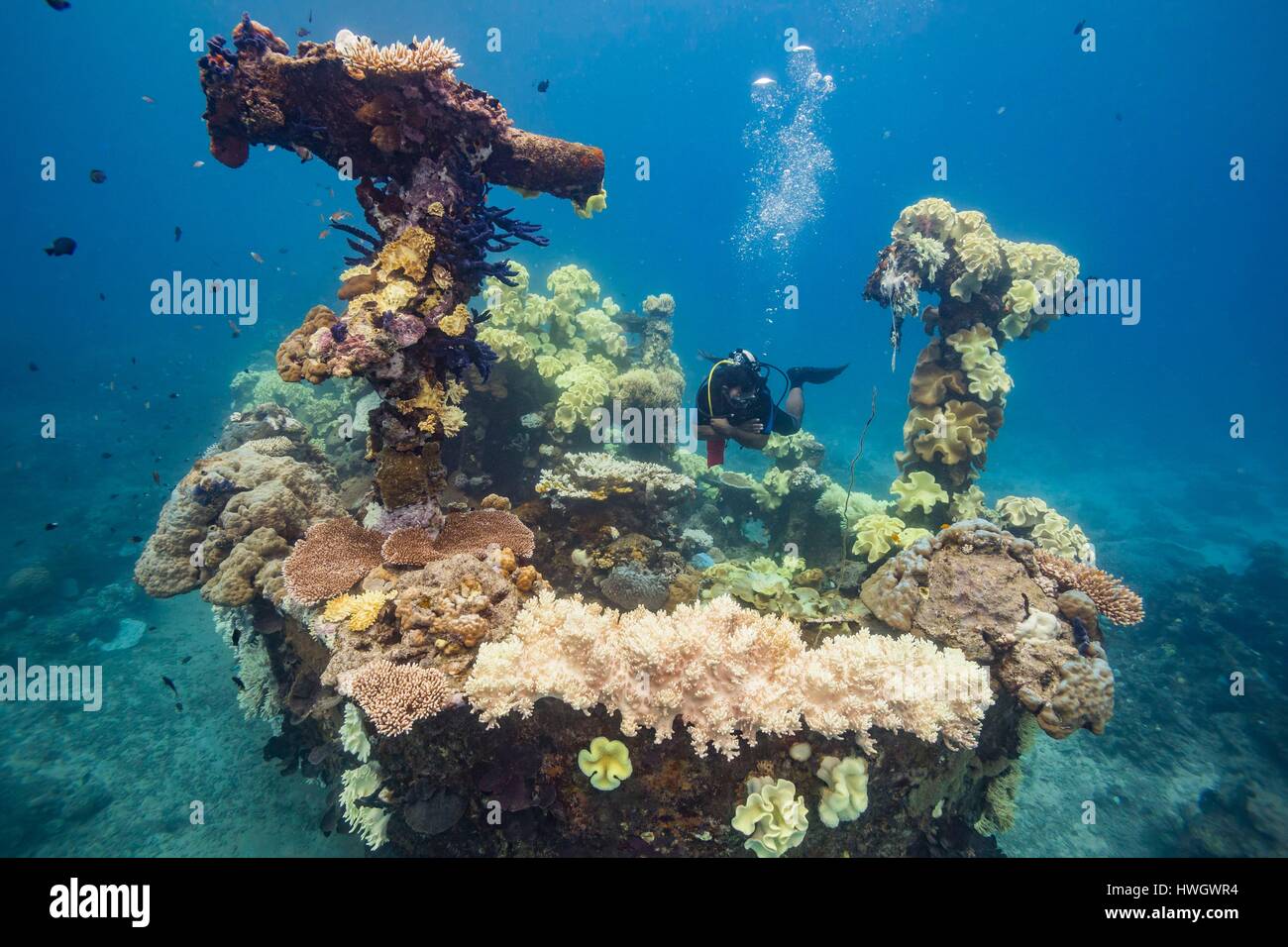 Philippines, Mindoro, Apo Reef Natural Park, diver on a wreck of a ...