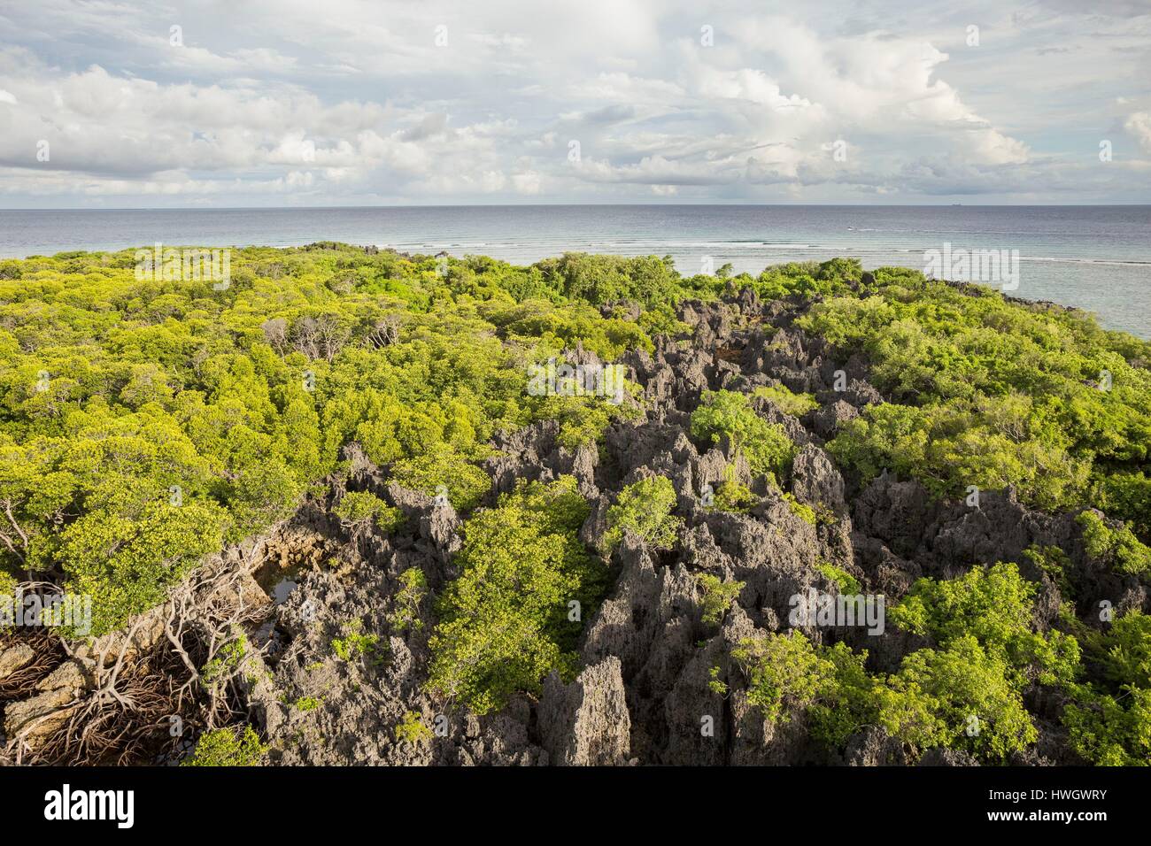 Philippines, Mindoro, Apo Reef Natural Park, vegetation and limestone ...