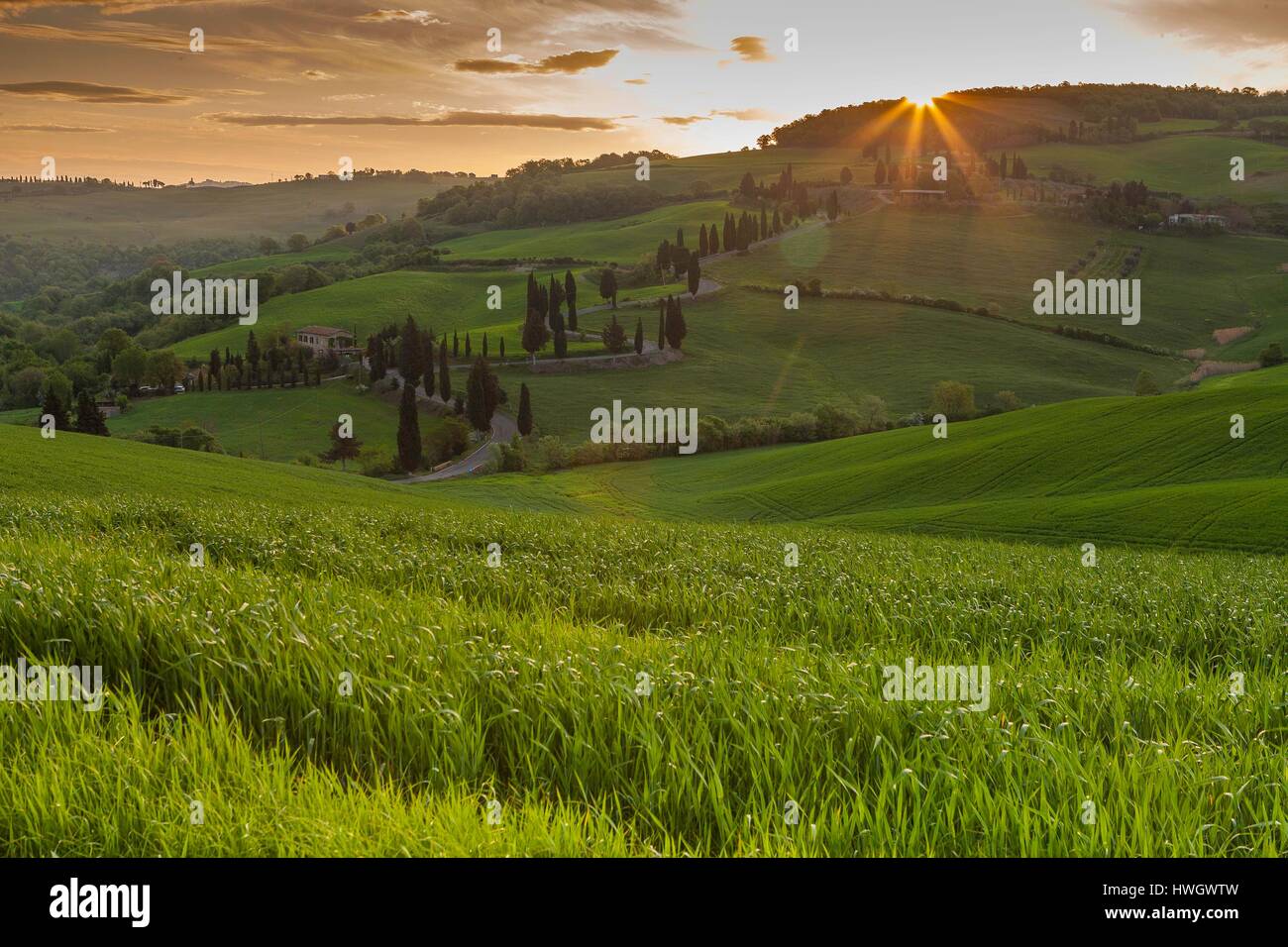 Italy, Tuscany, Val d'Orcia listed as World Heritage by UNESCO, crests ...