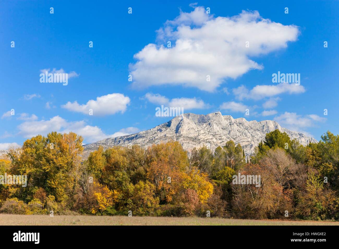France, Bouches du Rhone, Pays d'Aix, the Sainte Victoire mountain in ...
