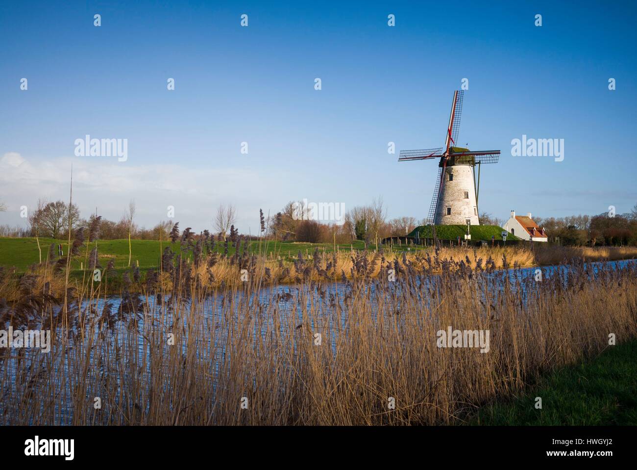 Damme and mill hi-res stock photography and images - Alamy